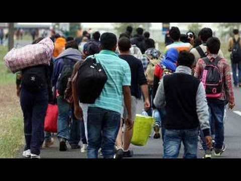 Bias Bash: More to migrant crisis than media are reporting