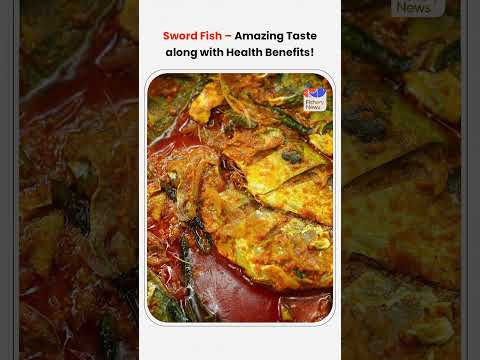Sword fish - health benefits along with amazing taste! | Sword FIsh | Fishery News