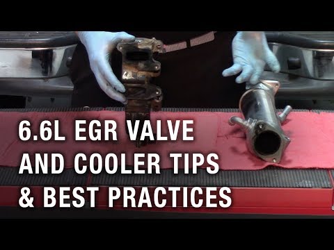 6.6L EGR Valve and Cooler Tips & Best Practices