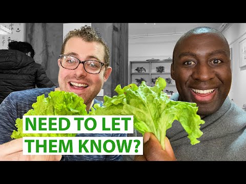 How to say vegetarian in Chinese: The right way!