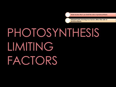 Photosynthesis Limiting Factors - GCSE Biology