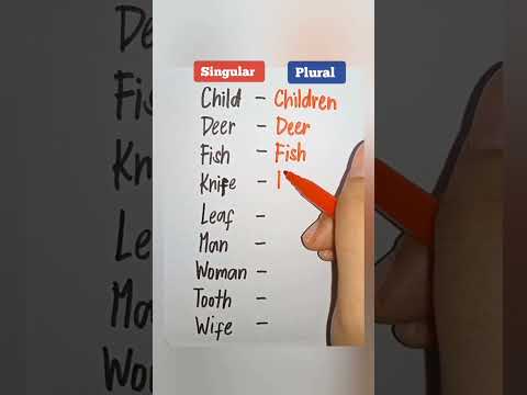 Singular and Plural nouns #english #englishvocabulary #learnenglish