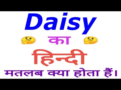 Daisy meaning in hindi | Daisy ka matlab kya hota hai | Daisy in hindi |