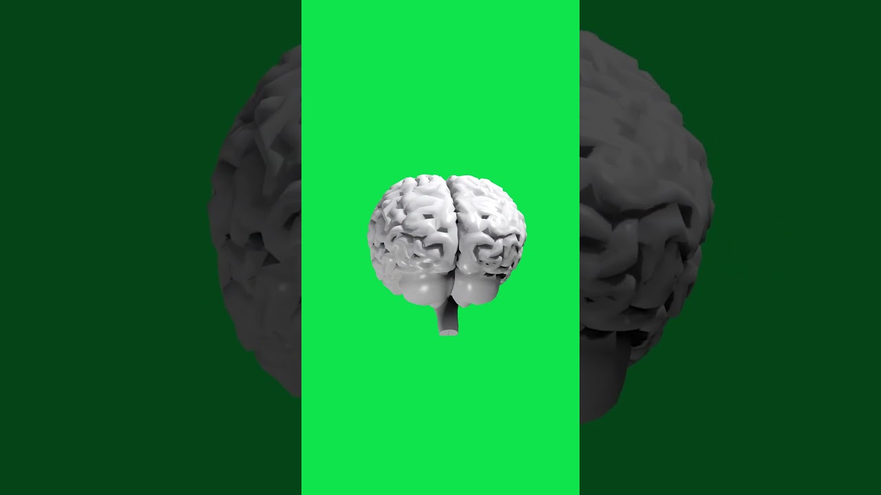 3D Brain Animation on Green Screen 4K #animation #stockfootage #greenscreen #brain #3dbrain