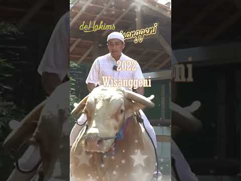 NANGIS TIAP TAHUN_5 SAPI KURBAN IRFAN HAKIM DARI TAHUN KE TAHUN #shorts #sapi ##sapijumbo #irfan