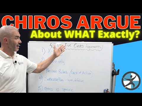 Different Types of Chiropractors | Top 5 Things They ARGUE About