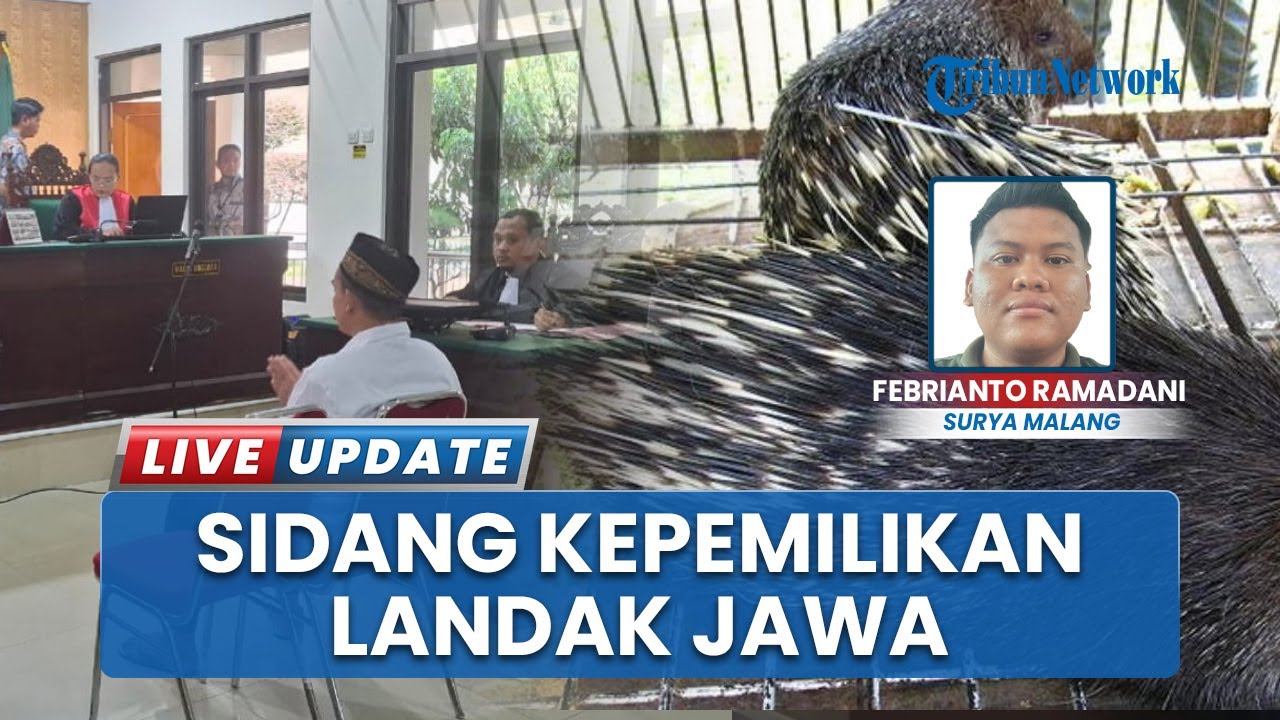 Nasib Darwanto Warga Madiun seusai Sidang Kepemilikan Landak Jawa, Ini ...