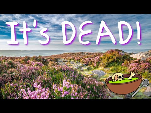 Beautiful British Moorland... It's DEAD! : Hidden Histories