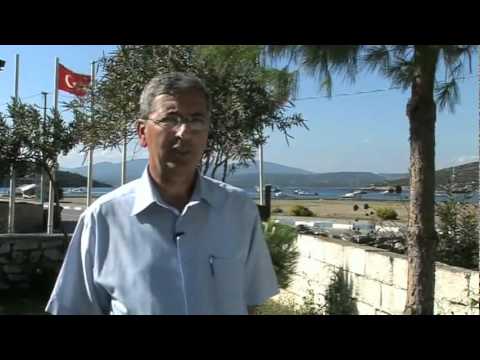 SLOW CITY MOVEMENT | BUSINESS ENGLISH FOR ESL STUDENTS