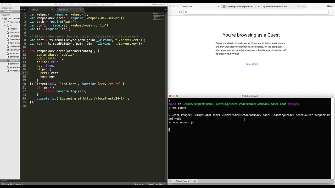 Running webpack dev server over https