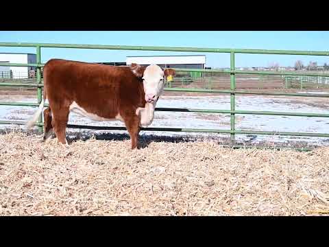 CSU Seedstock Team 2022-2023 - Tag #1232