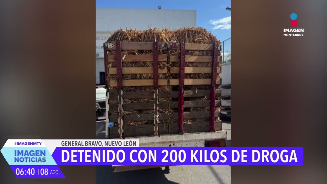 Decomisan 200 kilos de marihuana en General Bravo | Noticias MTY primera emisión
