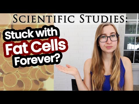 Are You Stuck With All Your Fat Cells? | Effects of Childhood Weight ...