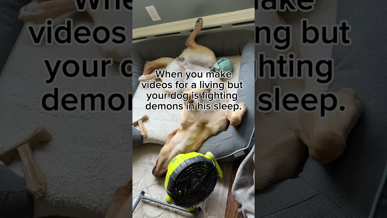 Content Creator Problems 😂