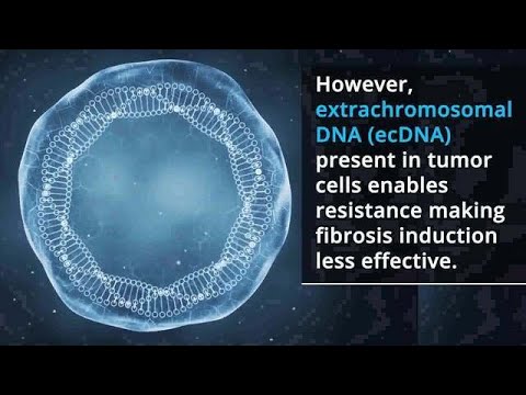 Nanoparticles Clear EcDNA to Boost Tumor Fibrosis and Enhance Cancer Therapy