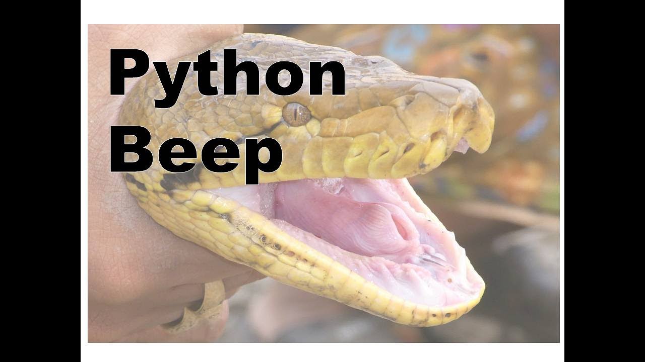 410-Python Beep Sound