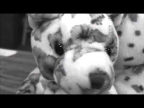 Sinister by Frankie Cosmos (Music Video)