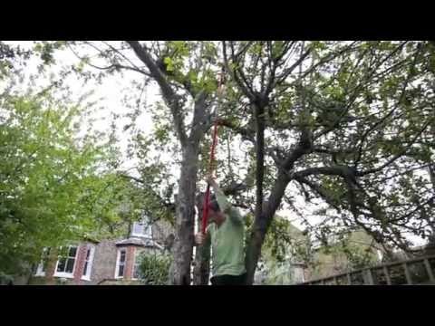 Shaking the Tree