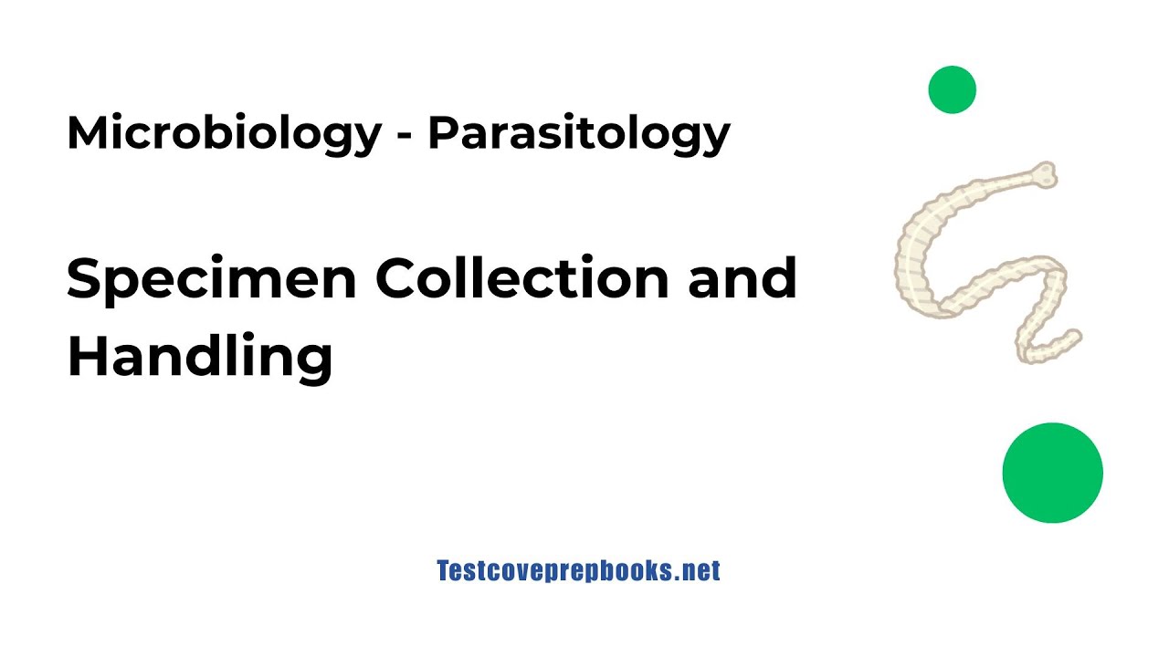 Specimen Collection and Handling | Parasitology | ASCP MLS Prep