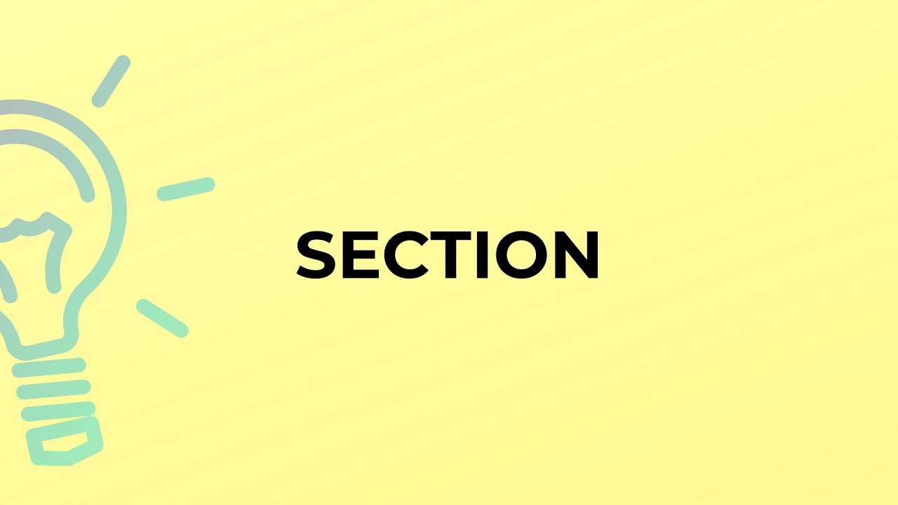 What is the meaning of the word SECTION?