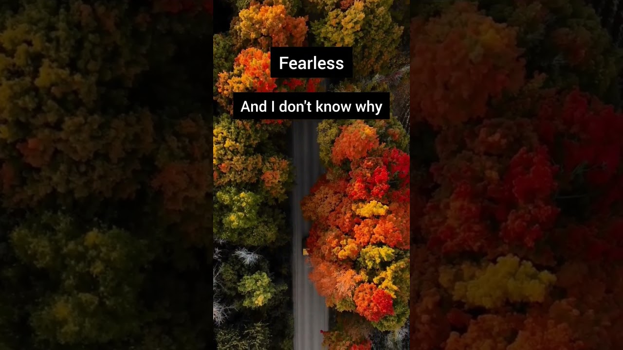 Fearless - Taylor Swift | lyrics