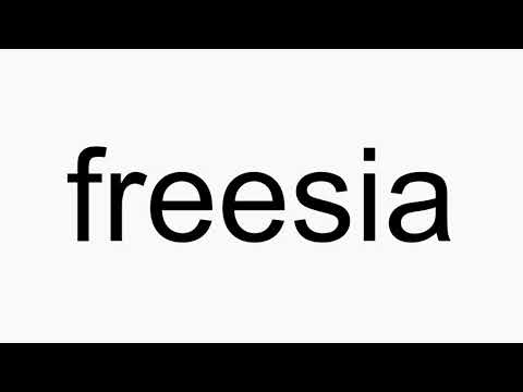 How to pronounce freesia