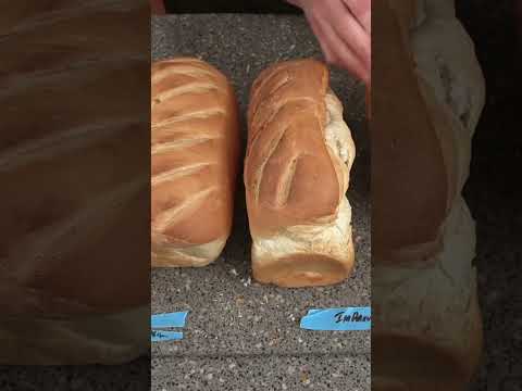 Learn about the best flour improver for bread