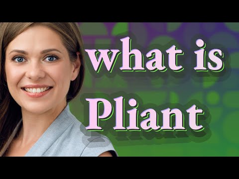 Pliant | meaning of Pliant