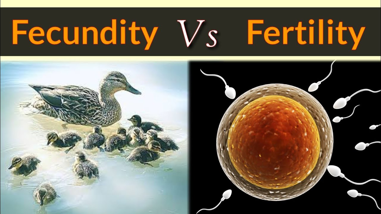 Difference Between Fecundity And Fertility