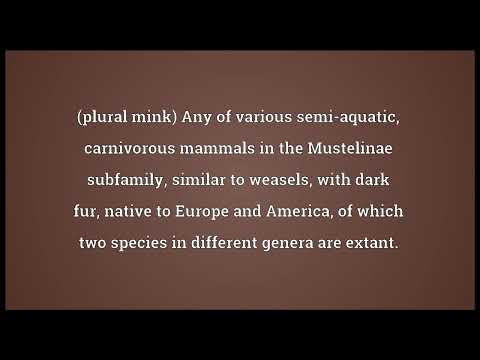 Mink Meaning