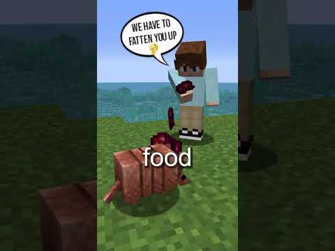 The Sad Lore Of The Armadillo In Minecraft