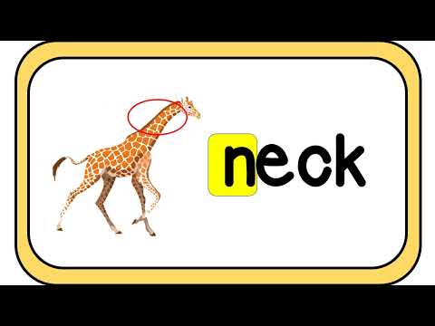 'eck' word family learn to read words