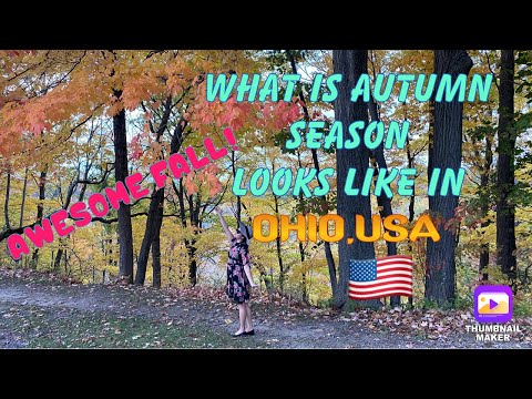 2020 AUTUMN/FALL SEASON IN USA|| WHAT IT LOOKS LIKE?||BEAUTIFUL SCENE