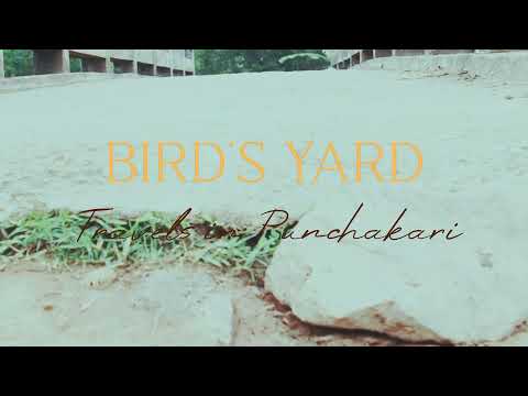 Birds Yard