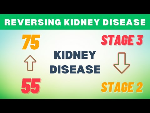 eGFR From 55 To 75: How Richard Reversed Stage 3 Kidney Disease?