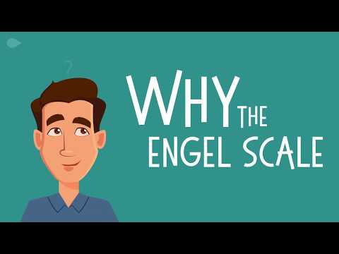 Evangelism and The Engel Scale – Rockwell Church