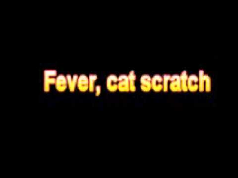 What Is The Definition Of Fever, cat scratch - Medical Dictionary Free Online