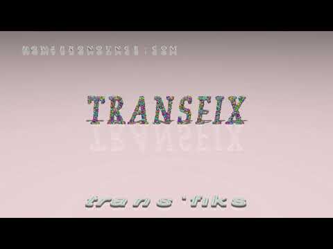 transfix - pronunciation + Examples in sentences and phrases