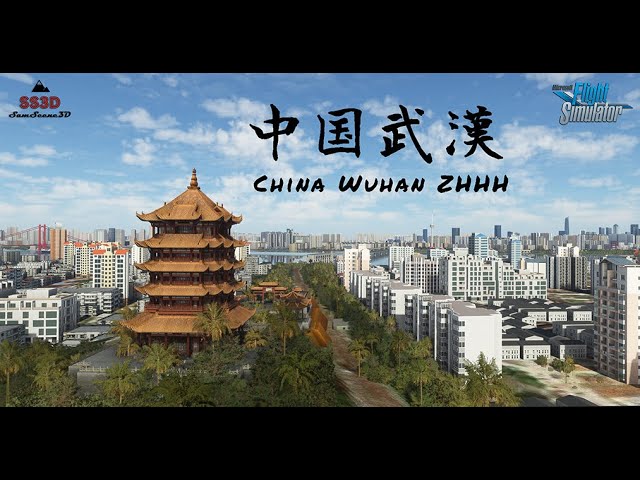 simMarket: CHINA WUHAN ZHHH MSFS