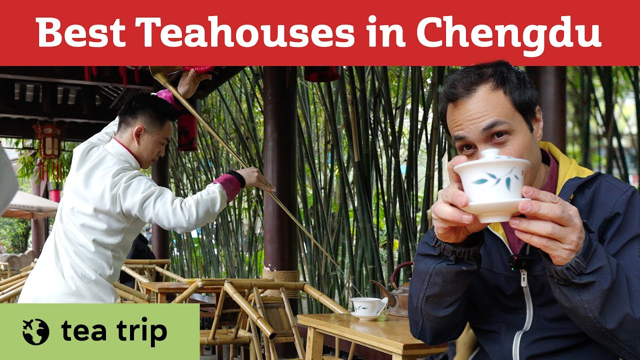 Exploring Chengdu’s Legendary Teahouses - Traditional & Modern Tea Culture in China | Tea Trip