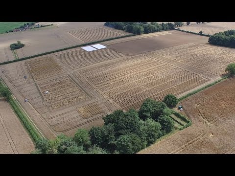 Harvest 2050 - short version with subtitles