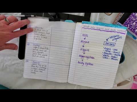 Unit 9 Lesson 4 Vocabulary Science Fusion 5th Grade