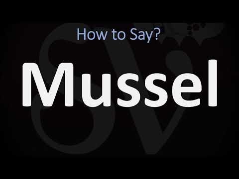 How to Pronounce Mussel? (CORRECTLY)