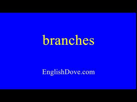 How to pronounce branches in American English.