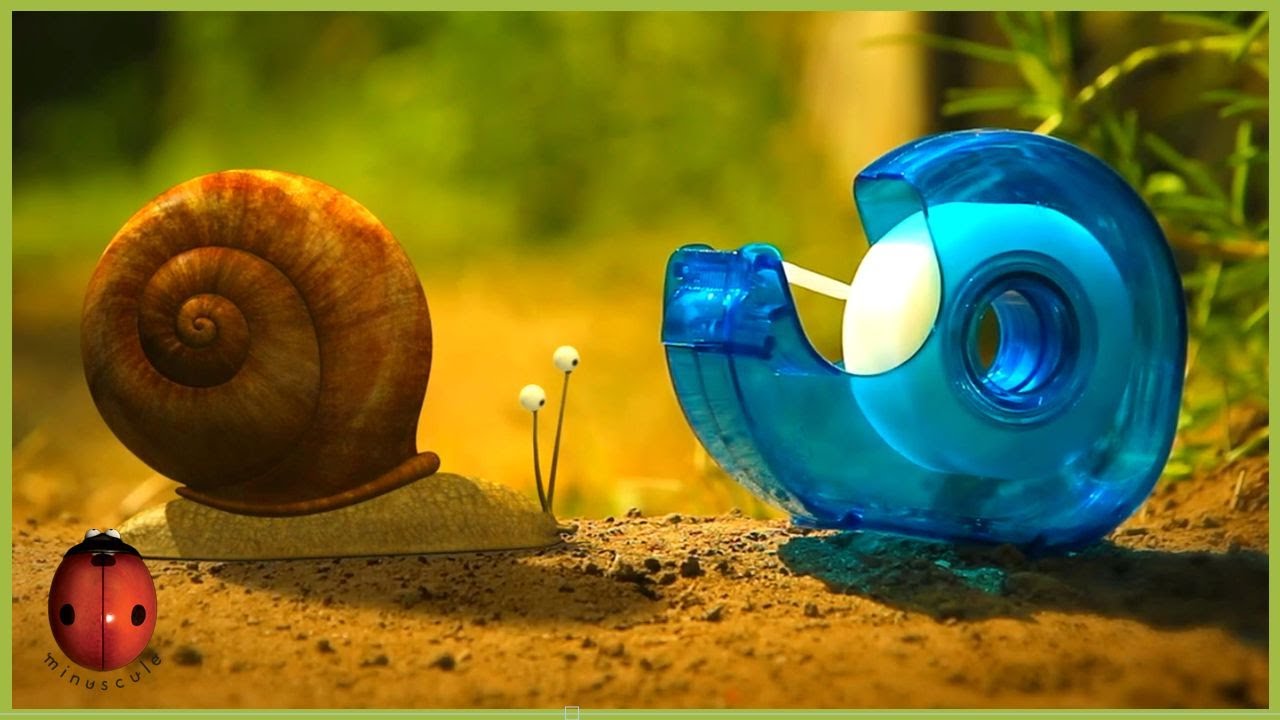 The Vegetable Garden | Minuscule 🍃 20' Compilation