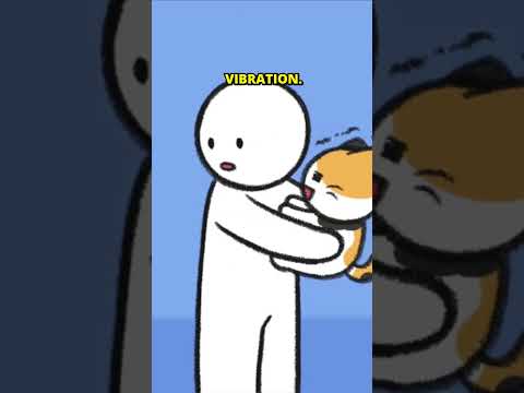 Understanding Different Types of Cat Sounds and Meows