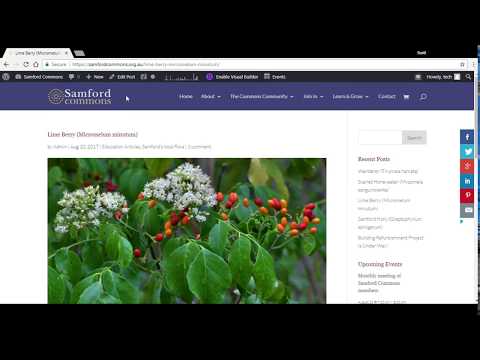 How to add a Featured Image to your Blog posts with WordPress