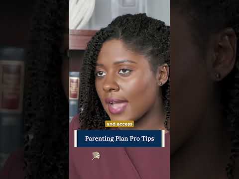 Parenting Plan Pro Tips