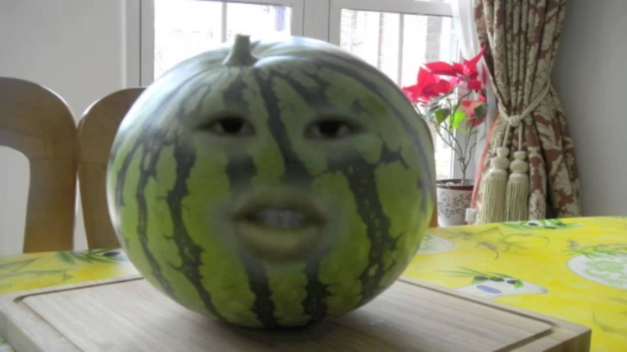 Annoying Orange - Geek Studio