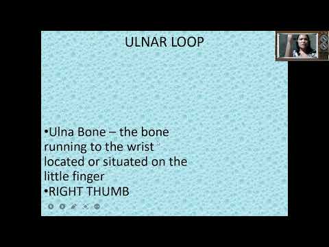 TYPES OF FINGERPRINT PATTERNS video1724395516
